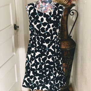 LOFT | Dresses | Loft Black And White Dress 4p | Poshmark